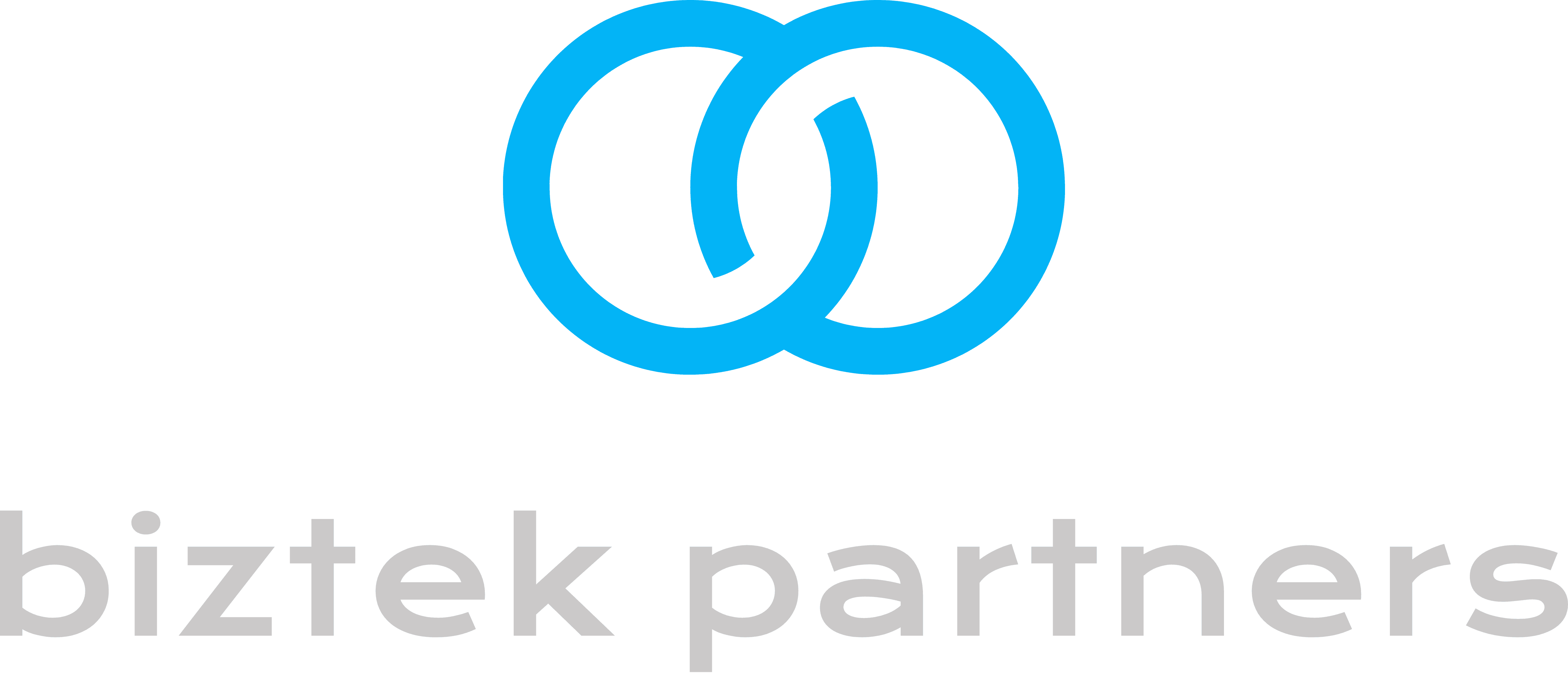 BIZTEK PARTNERS