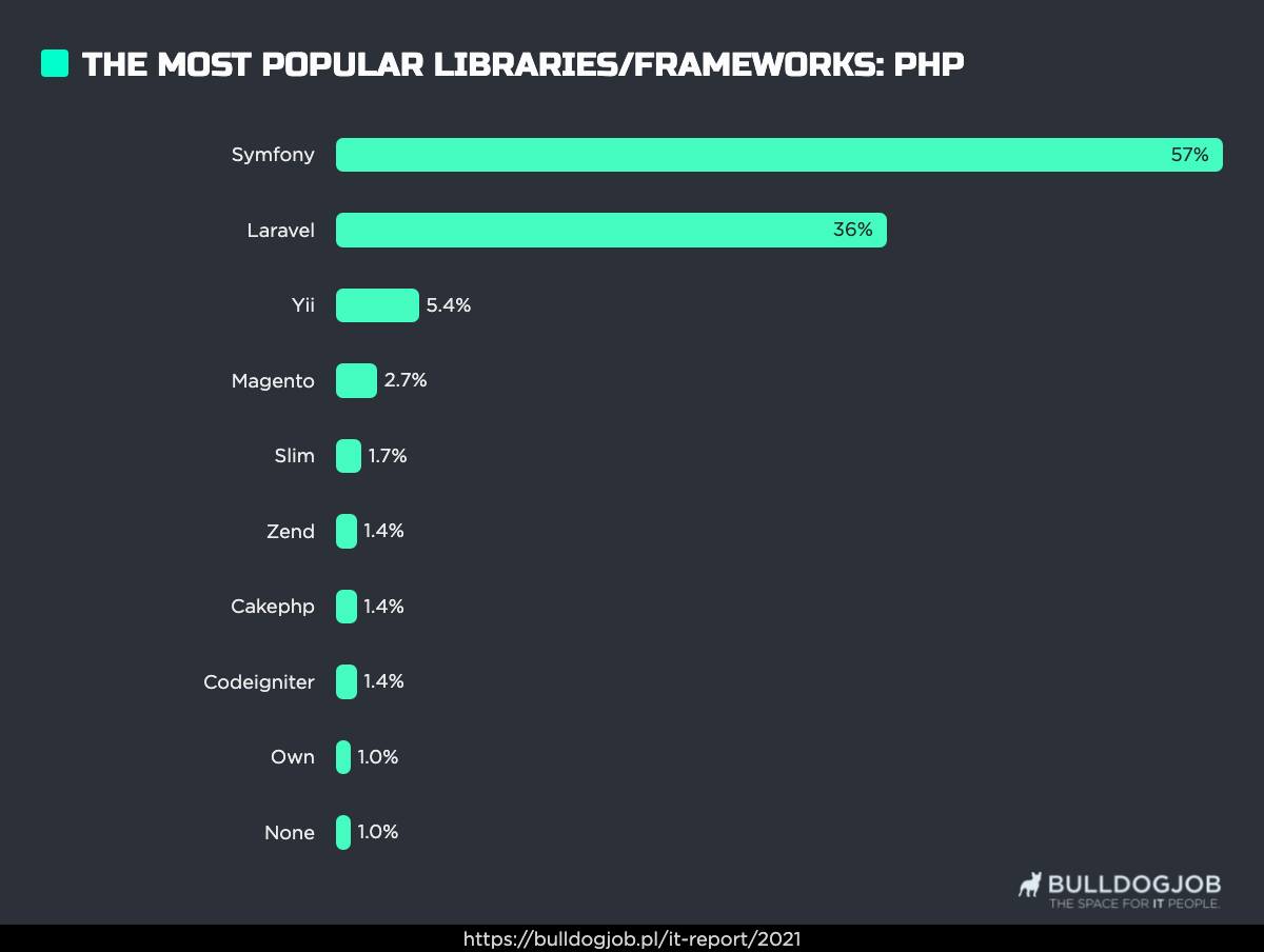 Report on polish programmers - find out about earnings and