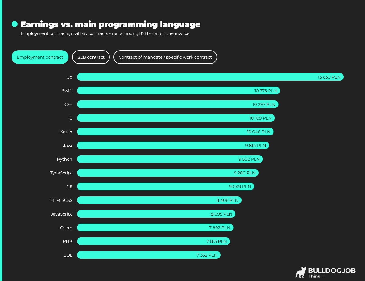 Polish IT Community Report 2023 - Programmer