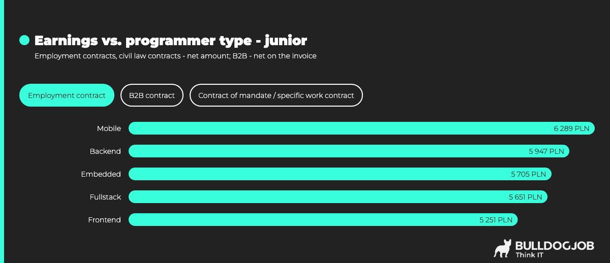 Polish IT Community Report 2023 - Programmer