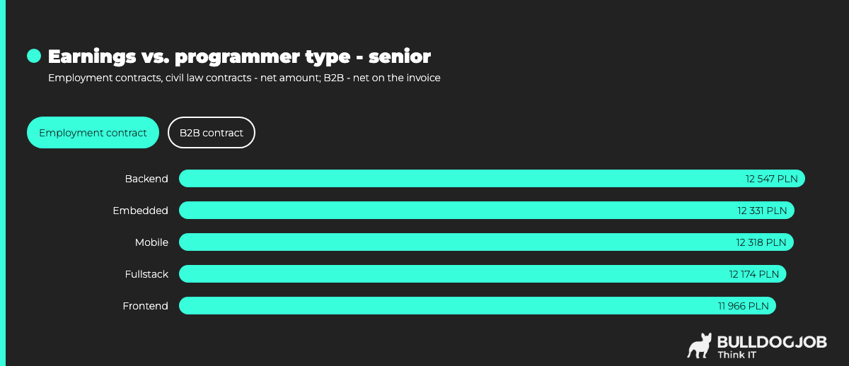Polish IT Community Report 2023 - Programmer