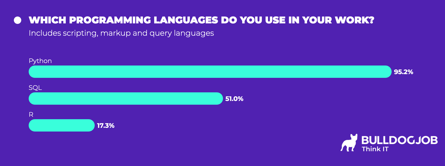 Data Science - Raport z Badania Społeczności IT 2024