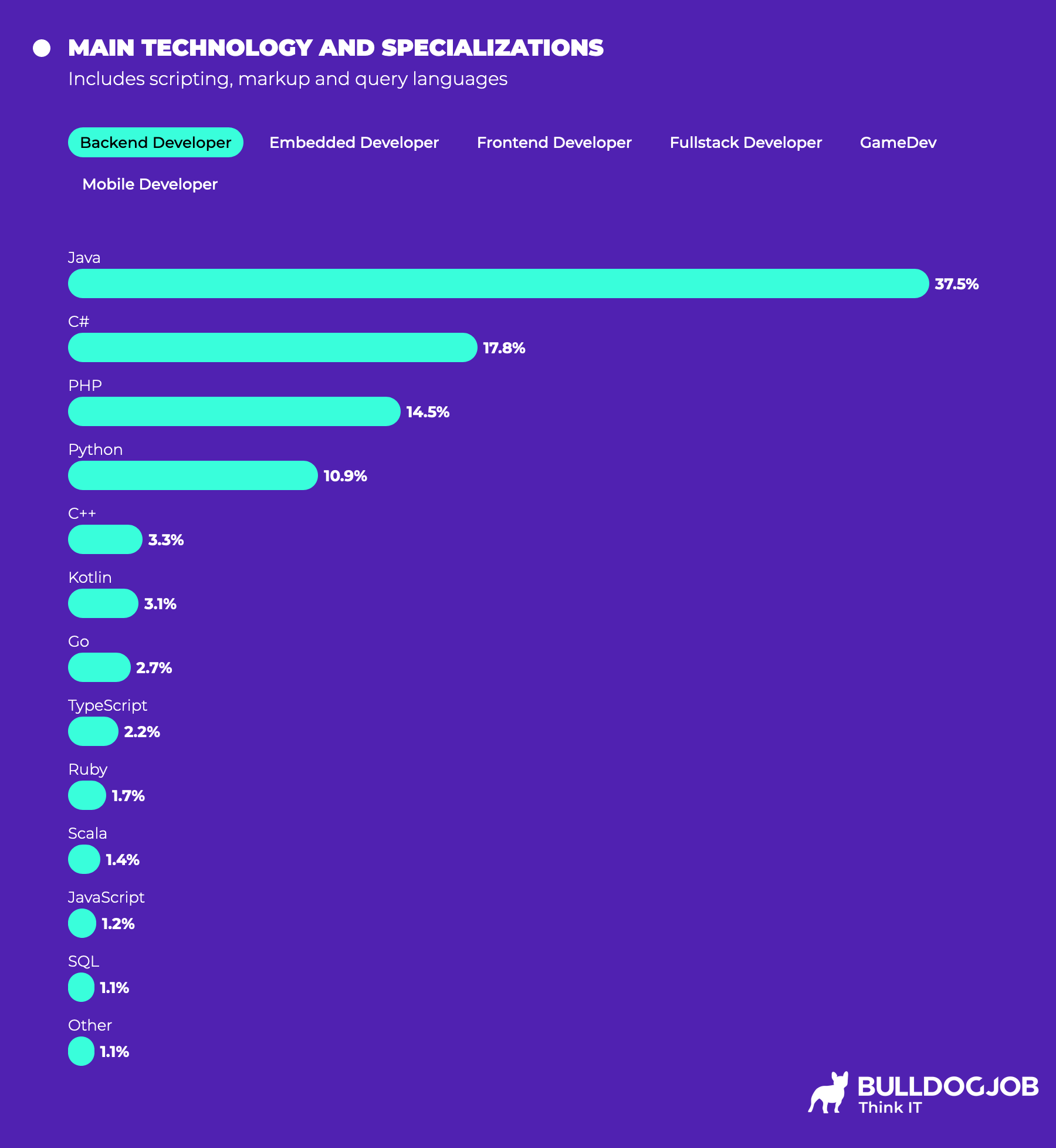 Software Developers - Polish IT Community Report 2024