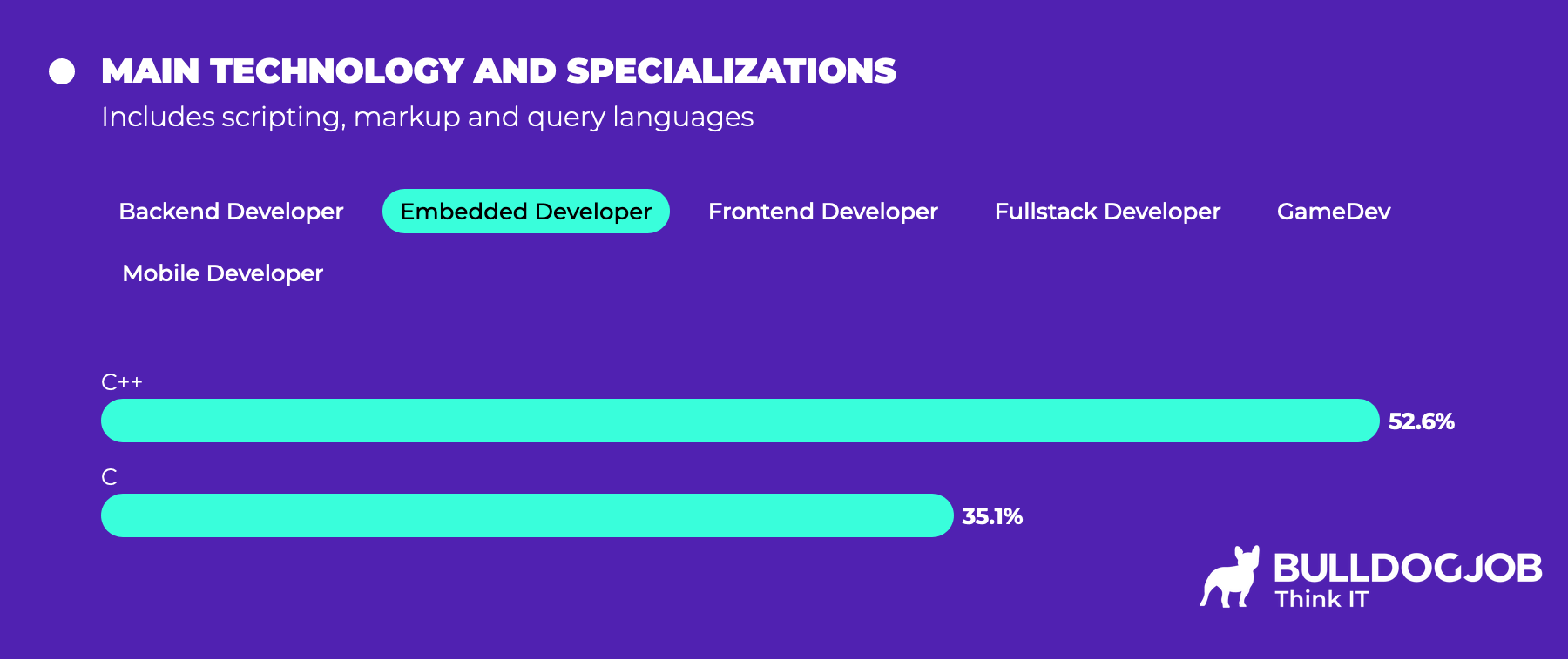 Software Developers - Polish IT Community Report 2024