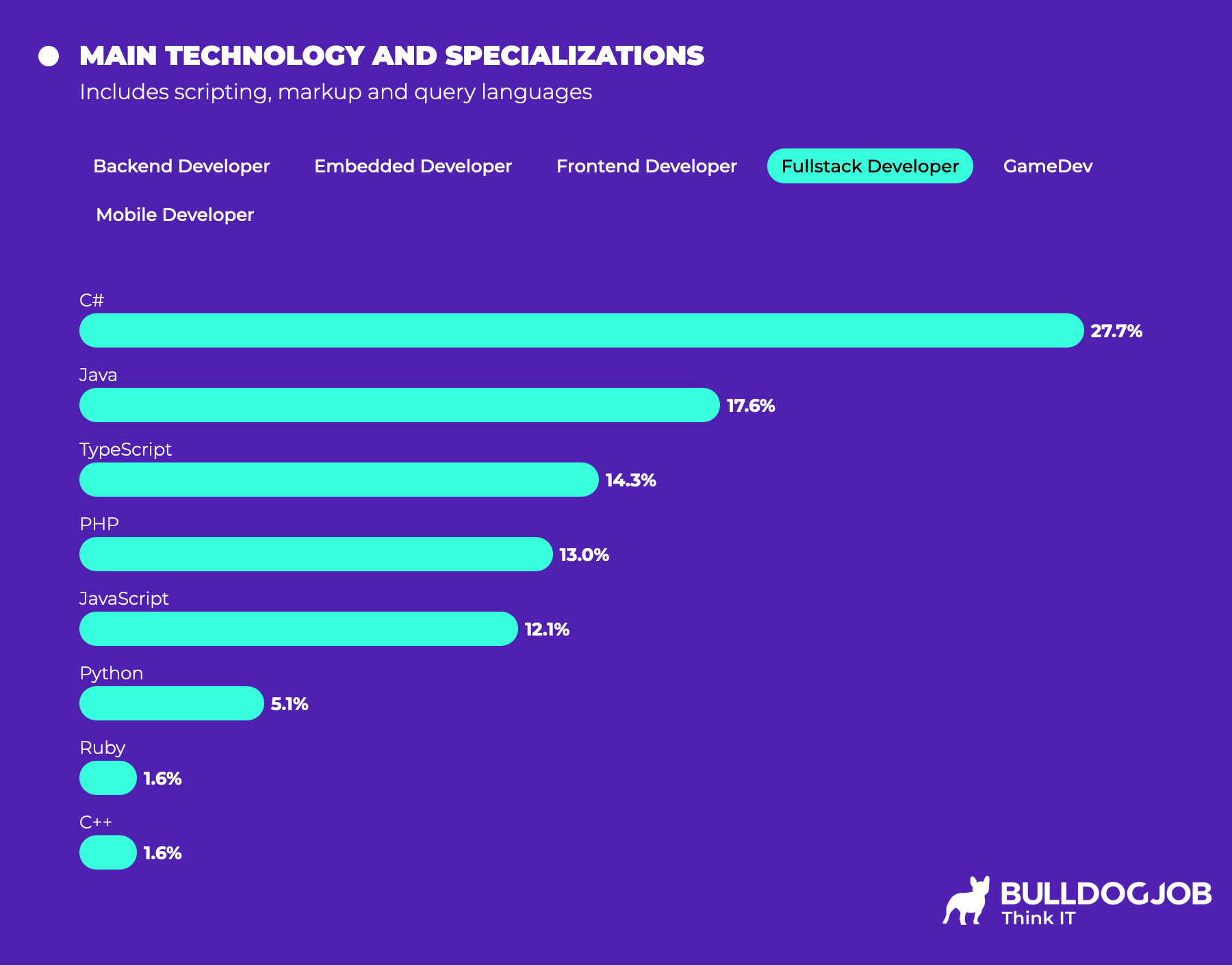Software Developers - Polish IT Community Report 2024