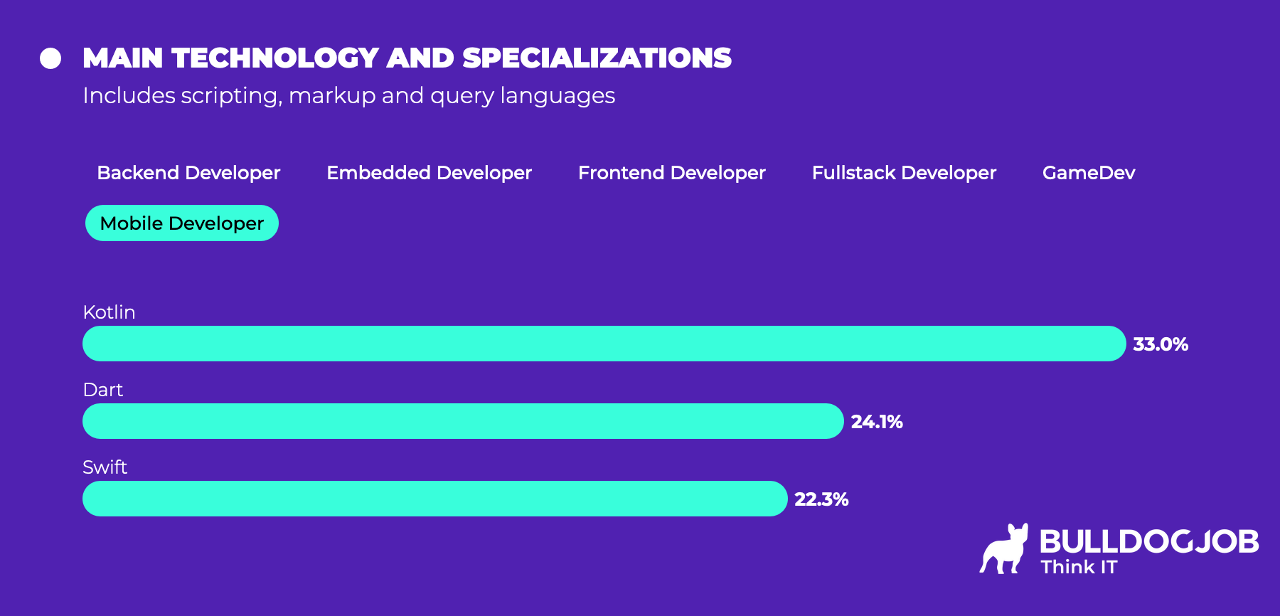 Software Developers - Polish IT Community Report 2024