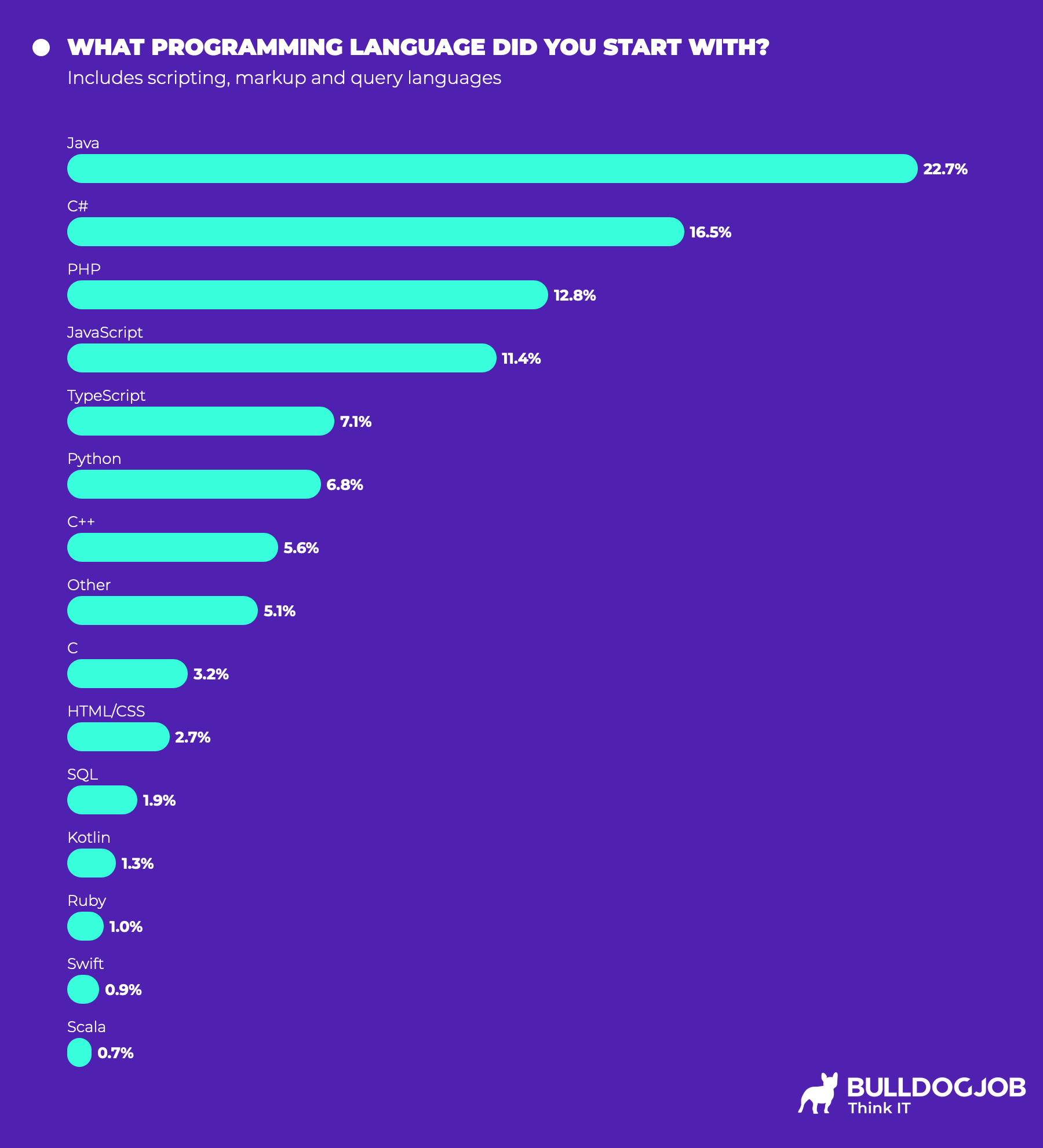 Software Developers - Polish IT Community Report 2024
